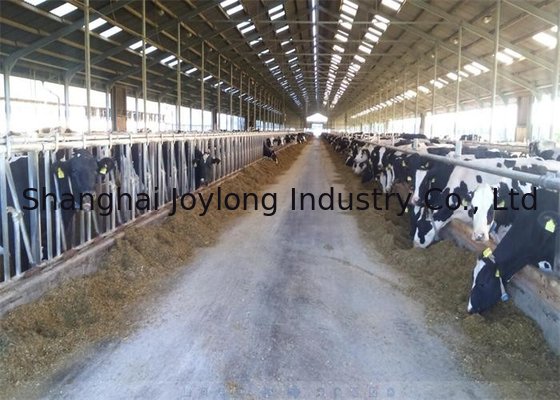 Dried Milk Powder Farm Packaging Machine Milk Powder Manufacturing Process