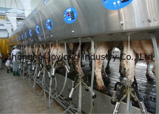 Small Scale Plastic Bottled  Drinking Flavoured  Fruit Stirred Yoghurt Production Equipment