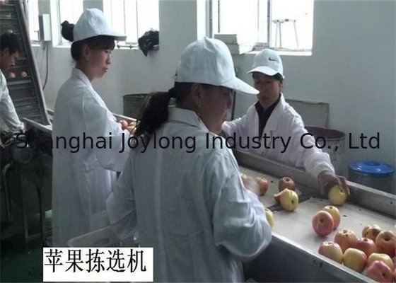 Drinking Flavoured Fruit Stirred Yogurt Processing Line 250ml-1000ml Volume
