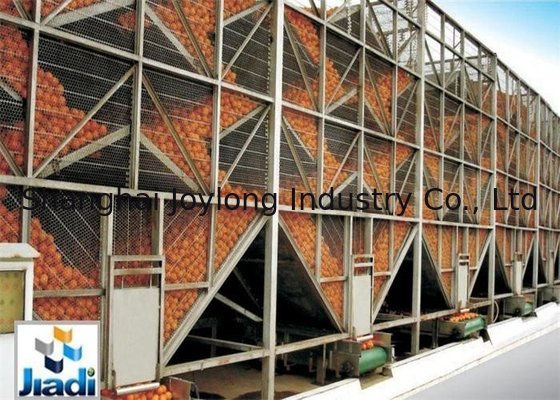 Automatic Mango Fruit Processing Line Equipment for 500-1000ml