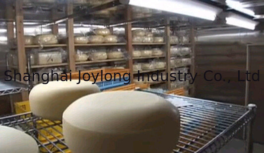 Stainless Steel Complete Cheese Dairy Processing Line Fresh Milk Processing Equipment