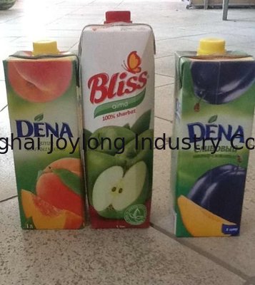 Turk Key Aseptic Brick Carton Beverage Packaging Machine（As Prisma Pack） 200-330ml