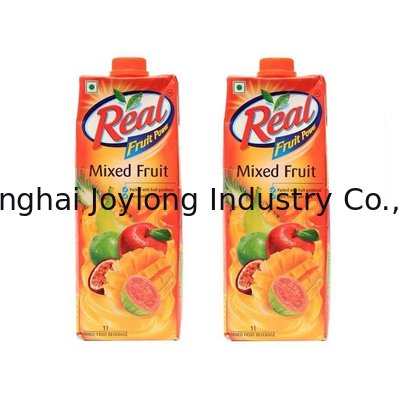 Aseptic Package Turn Key Project Peach Fruit Juice Production Plant