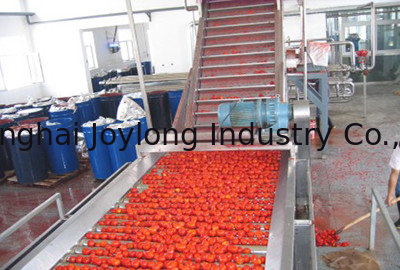 Orange and Mango Fruit Juice Processing Equipment for 500-1000ml Glass Bottled