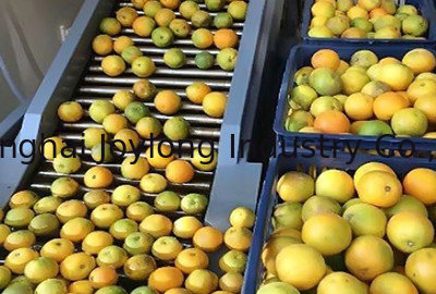 Apple Orange Juice Extractor Aseptic Big Bag Package Turn Key Projects
