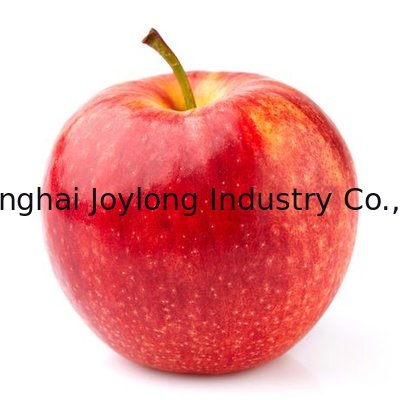 Fruit Processing Machine Fruit Washer / Multifunction Fresh Fruit Washing Machinery 1T - 10T / H