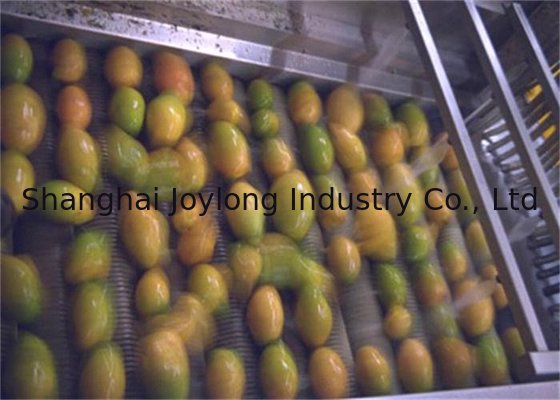 20000BPH Fruit Juice / Tea / Beverage Drink Automatic Bottle Filling Machine Production Line