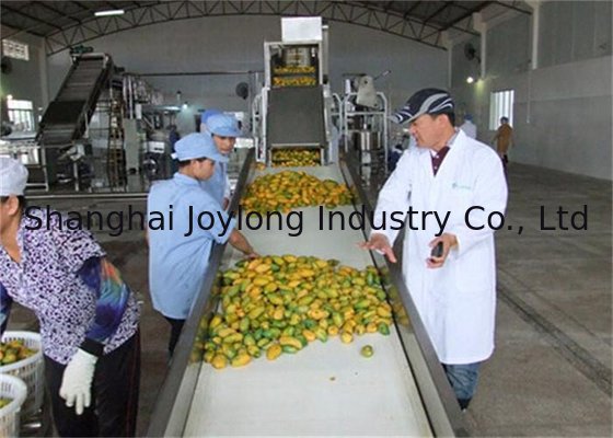 20000BPH Fruit Juice / Tea / Beverage Drink Automatic Bottle Filling Machine Production Line