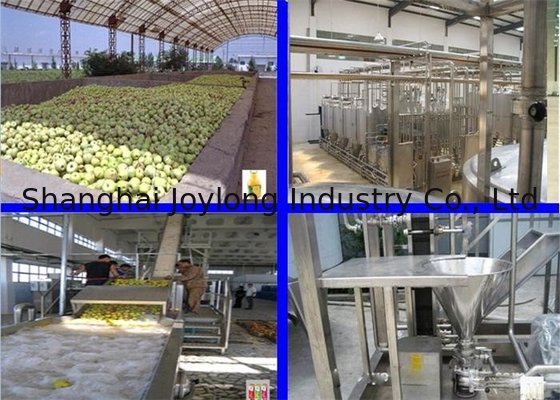 SUS304 Automatic Milk Pasteurization Machine 500L - 500000LD