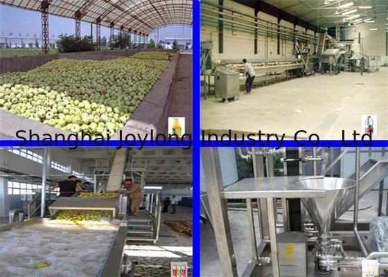 Automatic Aseptic Brick Carton Package UHT Milk Processing Line 4000L/H