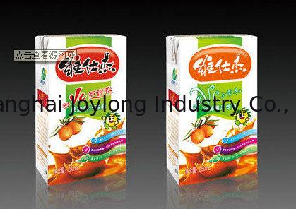 Turnkey Project Beverage Production Line Bottling Juice Production Line