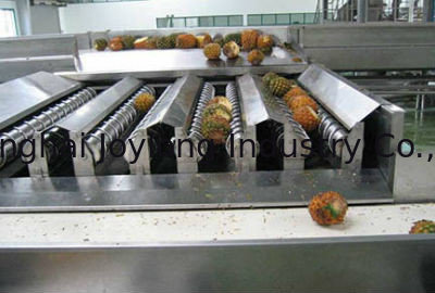 Ligne automatique de transformation de fruits de mangue équipement pour 500-1000ml
