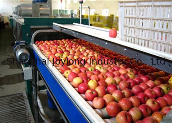 Machine à grande vitesse de transformation de légume et de fruits/jus de pomme faisant des machines