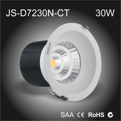 20W/30W with CE ROHS certification COB LED Downlight SAA approval with CITIZEN COB