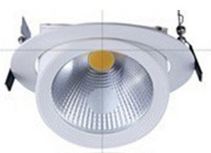 20W 3000K Warm White Of Led Trunk Light , Long Lifespan High CRI Led Ceiling Lamp in china