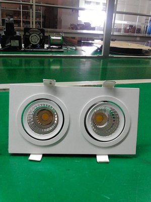 venture two head square led downlight rotating 2*10w American Bridelux chip