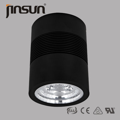 20W surfaced mounted downlight ed for hall room clyinder led lighting pendant light