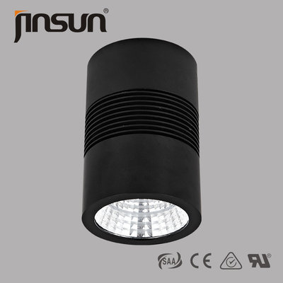 20W surfaced mounted downlight ed for hall room clyinder led lighting pendant light