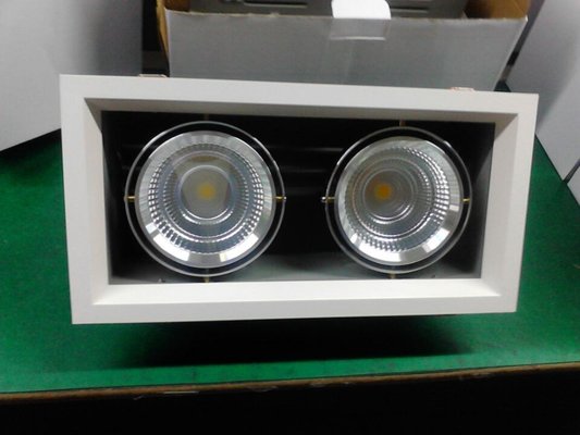 2*10W COB LED venture box lighting ceiling spot light allory led downlighting