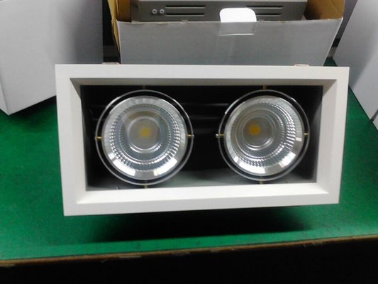 2*10W COB LED venture box lighting ceiling spot light allory led downlighting