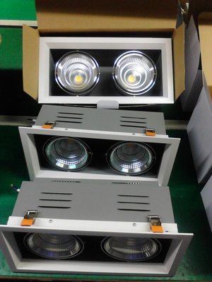 2*10W COB LED venture Citizen lighting ceiling spot light allory led downlighting