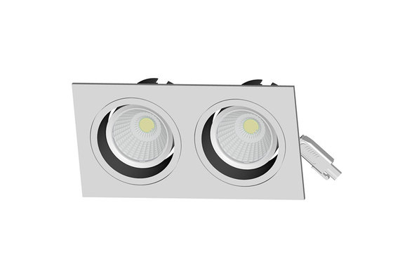 2*10W Hight Brightness COB LED Ceiling Light Item Type With Meanwell Driver