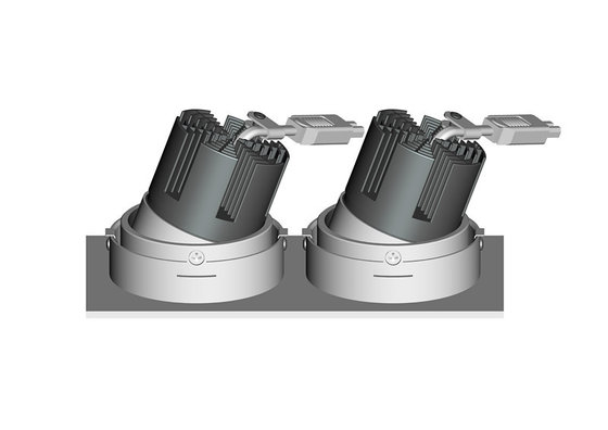 2*10W Hight Brightness COB LED Ceiling Light Item Type With Meanwell Driver