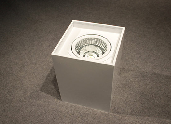 20W Natural Color Surface Mount Led Cob Downlight With UL  welcome