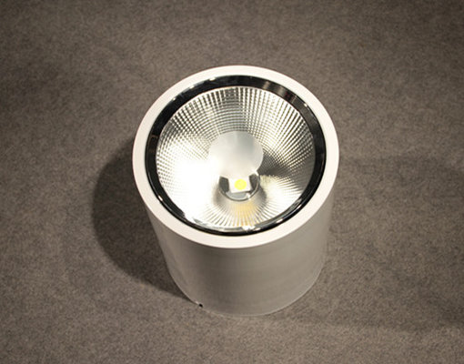 50W 3500LM 2700K Warm White 8inch Round Shape Of Surface Mounted LED Downlight