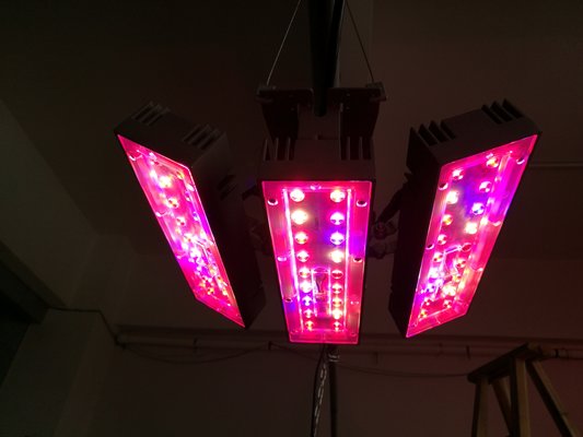 100W Plant light led lighting 100W grow light for improve little fruit growing RGB  CO2 ceiling grown light save energy