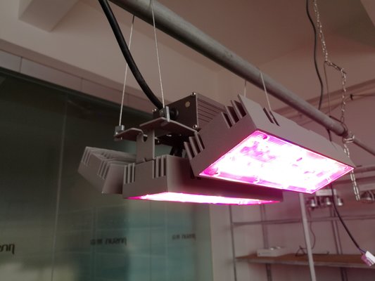 100W Plant light led lighting 100W grow light for improve little fruit growing RGB  CO2 ceiling grown light save energy