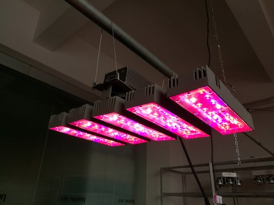 150W Plant light led hanging grow light for greenhouse  vegetable growing RGB rLED horticulture lighting 85% save energy