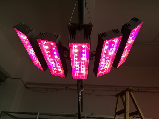 150W Plant light led hanging grow light for greenhouse  vegetable growing RGB rLED horticulture lighting 85% save energy