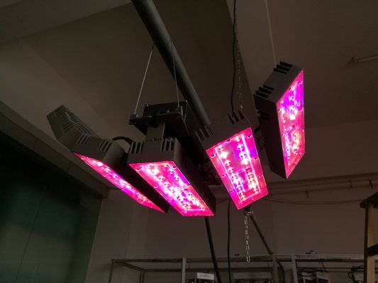 150W Plant light led hanging grow light for greenhouse  vegetable growing RGB rLED horticulture lighting 85% save energy
