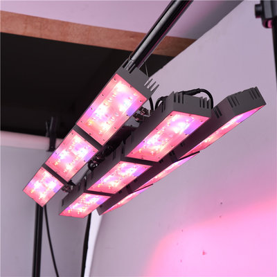 WH led grow light led plant grow lights led plant grow lgihts,LED horticulture lighting big power laser light,