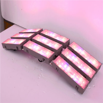 300W-400W led plant light  led plant led grow lgihts for LED horticulture lighting big power laser light  led