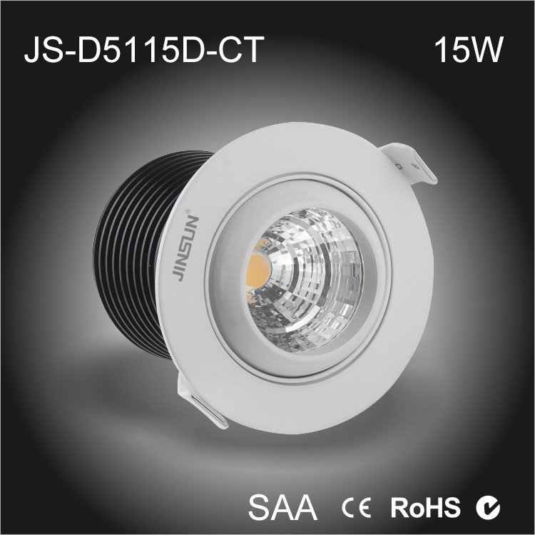 led eyeball downlight lighting factory 15W led cob citizen downlight COB Bridgelux light