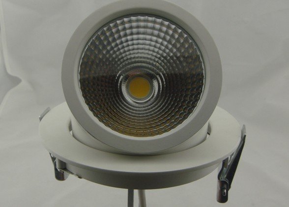 led trunk light 20w cob led lighting, long life span high CRI elephant light