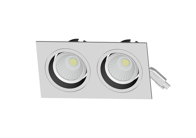 High Power Double Head Square Shape Led Cob Ceiling Light With Meanwell Driver