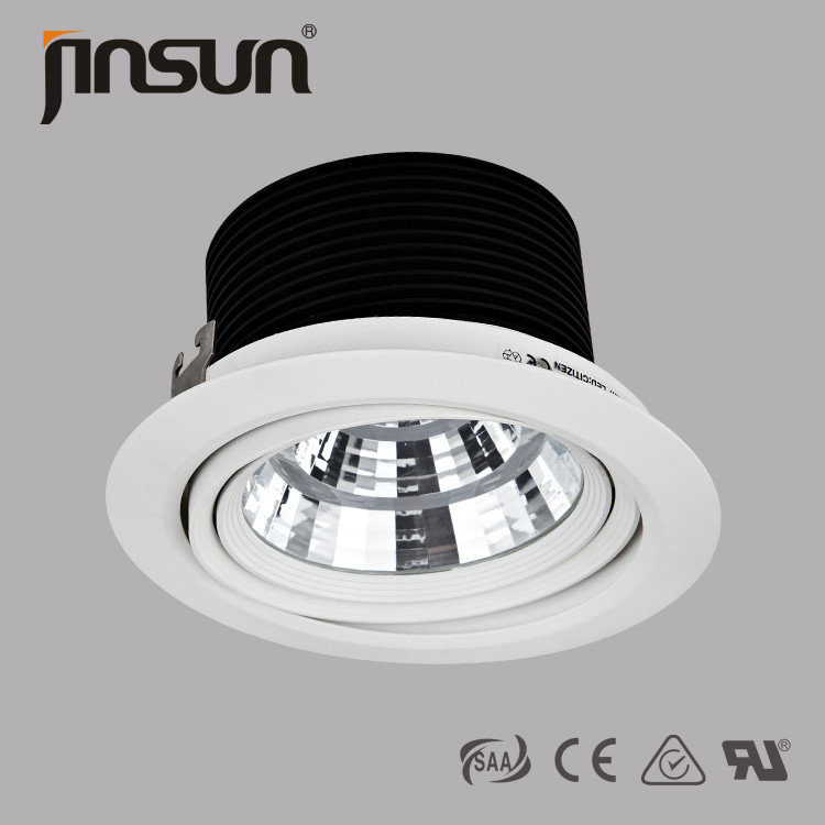 40W High Lumen 360 Degree Rotatable Of 40W High Power CITIZEN Chip COB LED Downlight