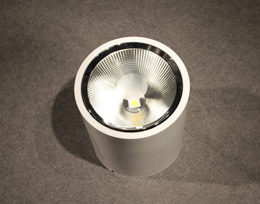 50W 3500LM 2700K Warm White 8inch Round Shape Of Surface Mounted LED Downlight