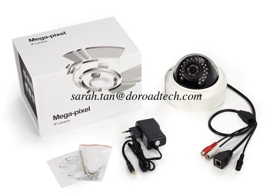 960P Low lux Anti-explosion Day & Night Indoor/Outdoor HD IP Dome Camera DR-IP522
