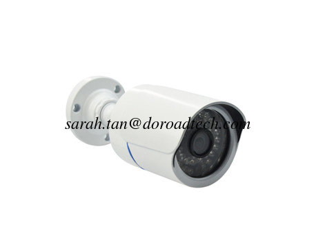 1080P Low Lux Waterproof Day & Night Indoor/Outdoor HD IP Camera for Promotion DR-IP1001