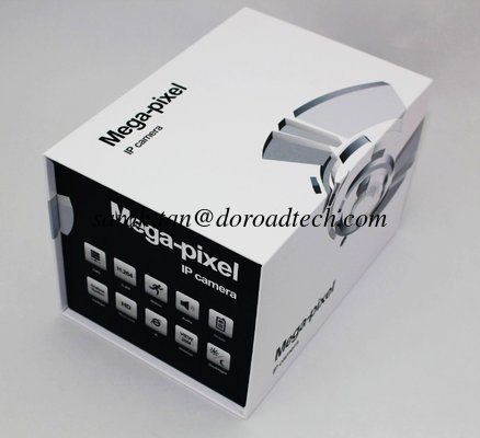 1080P Low Lux Waterproof Day & Night Indoor/Outdoor HD IP Camera for Promotion DR-IP1001
