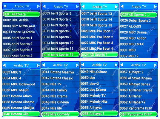 Jugador androide de la red IPTV del set-top box árabe de Smart TV, ZORRO vivo de la melodía HBO del MBC del beIN de los deportes del cielo
