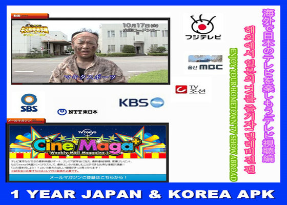 Japanese Korea HD IPTV Set Top Box Android TV Box 300+ Channles Include 30 Youporn Channels Sports NHK BS HBO