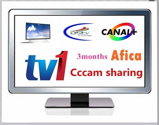 Cuenta del servidor CCCAM del receptor de satélite TV1 de Dvb s2 3 meses constantemente