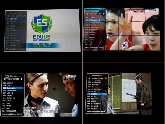 Japanese Korea HD IPTV Set Top Box Android TV Box 300+ Channles Include 30 Youporn Channels Sports NHK BS HBO