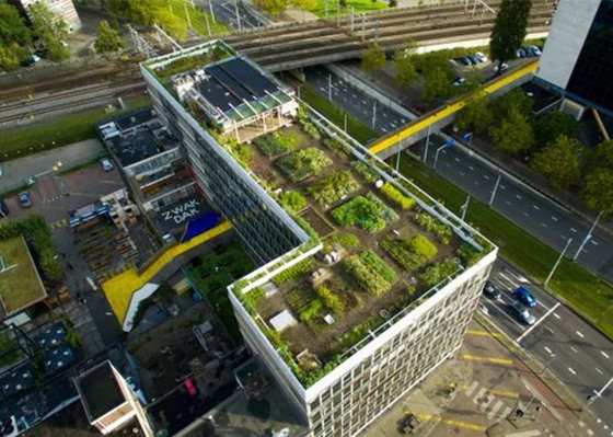 Cold Applied Elastomeric Green Roof Membrane Multi Applications Anti Seepage