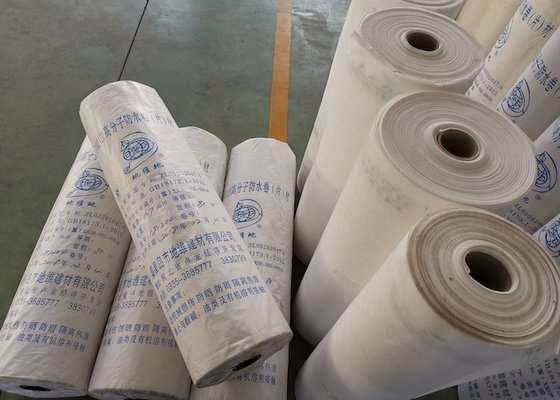 PE Waterproof Membrane Sheet Chemical Corrosion Resistant Long Service Life